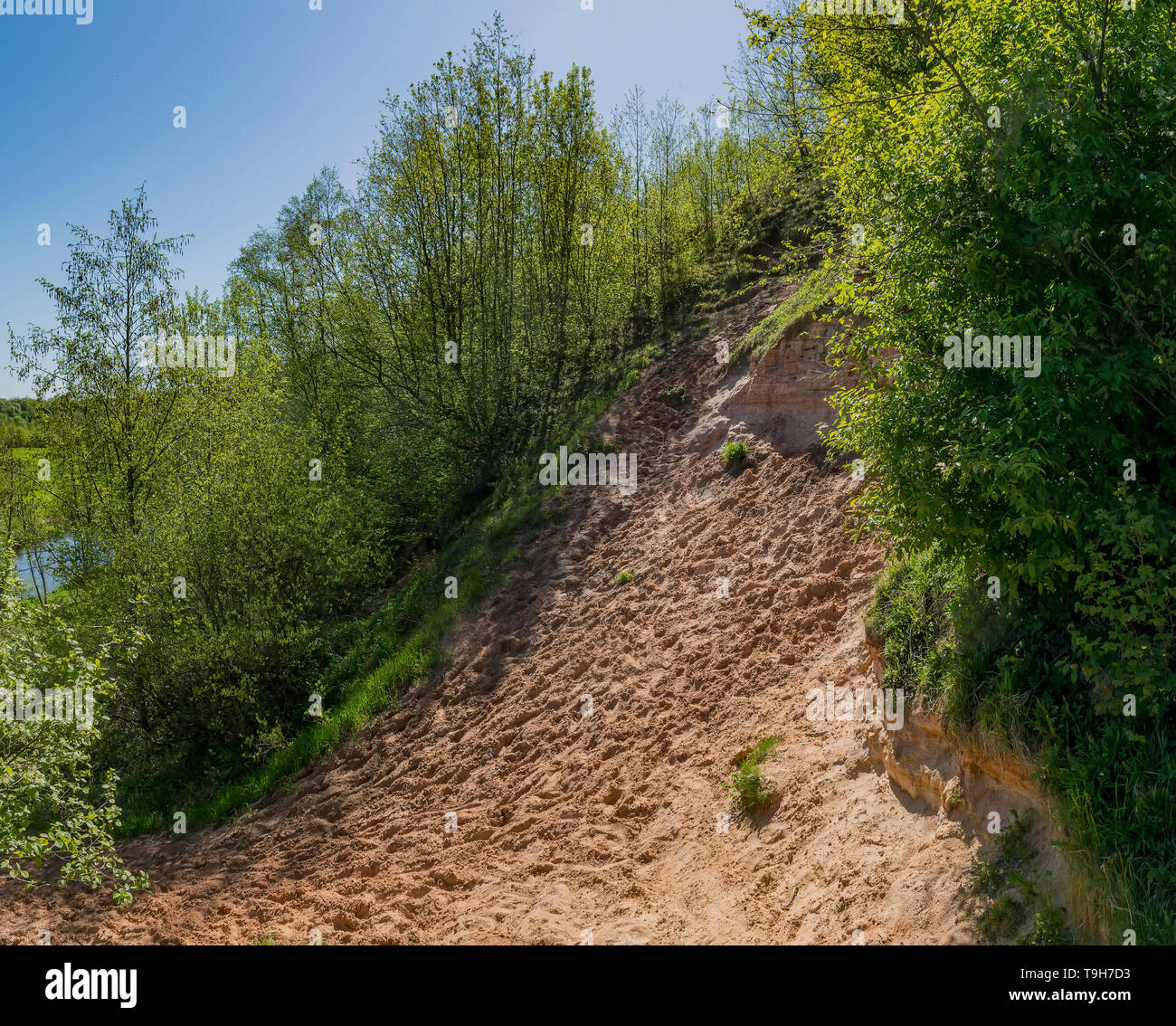 Spring walk along the river Sablinka in the Leningrad region. The ...