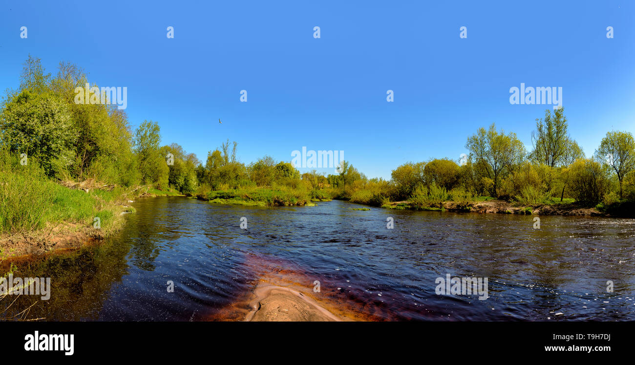 Spring walk along the river Sablinka in the Leningrad region. The ...
