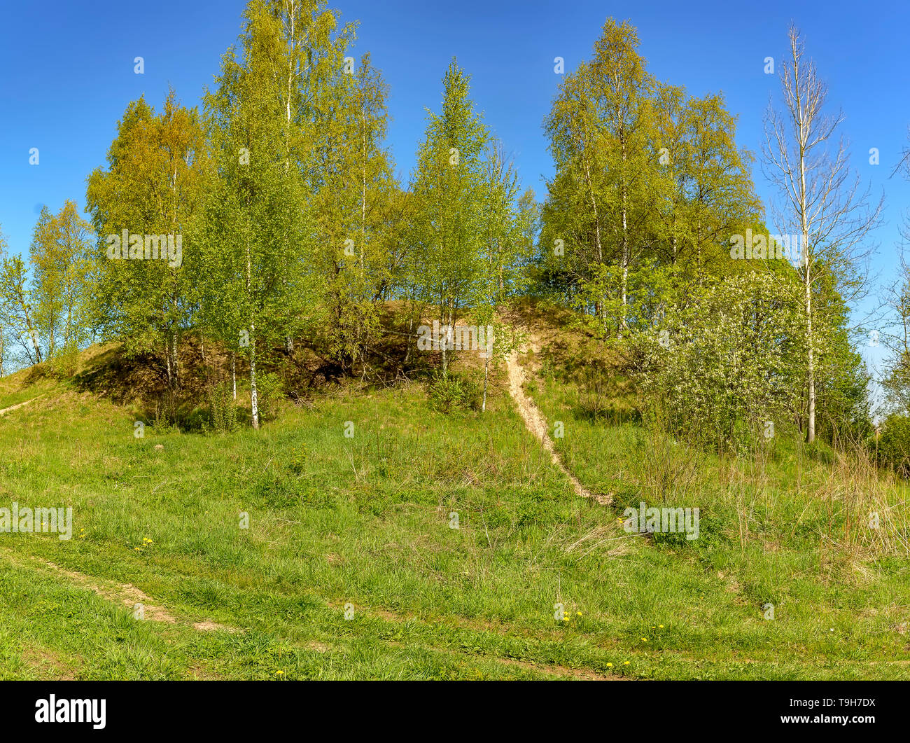Spring walk along the river Sablinka in the Leningrad region. The ...