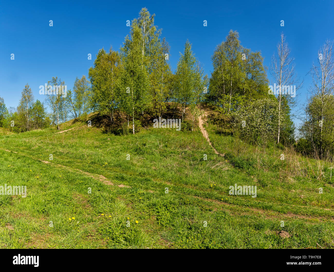 Spring walk along the river Sablinka in the Leningrad region. The ...