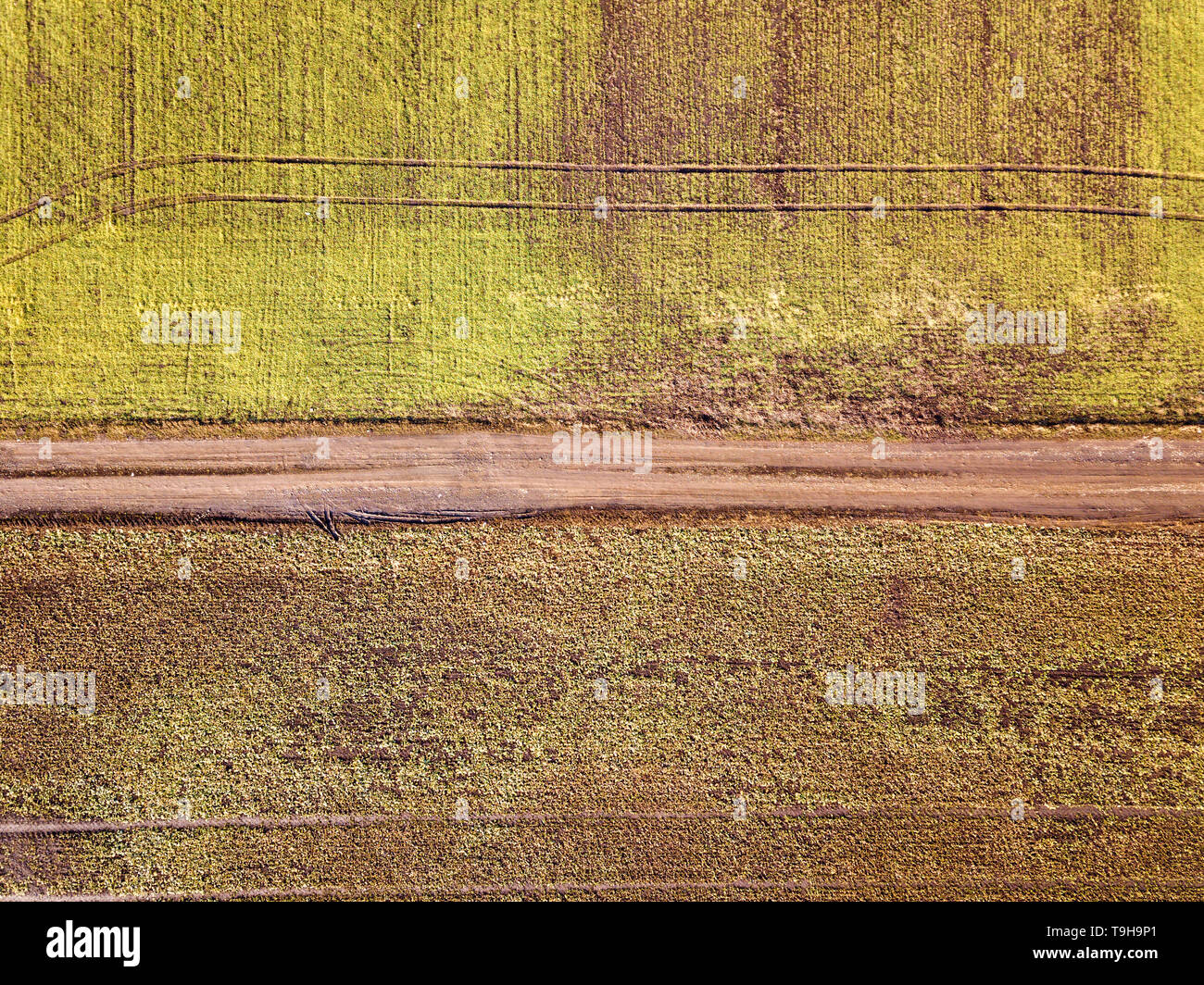 Agricultural landscape from air. Straight narrow ground road between ...