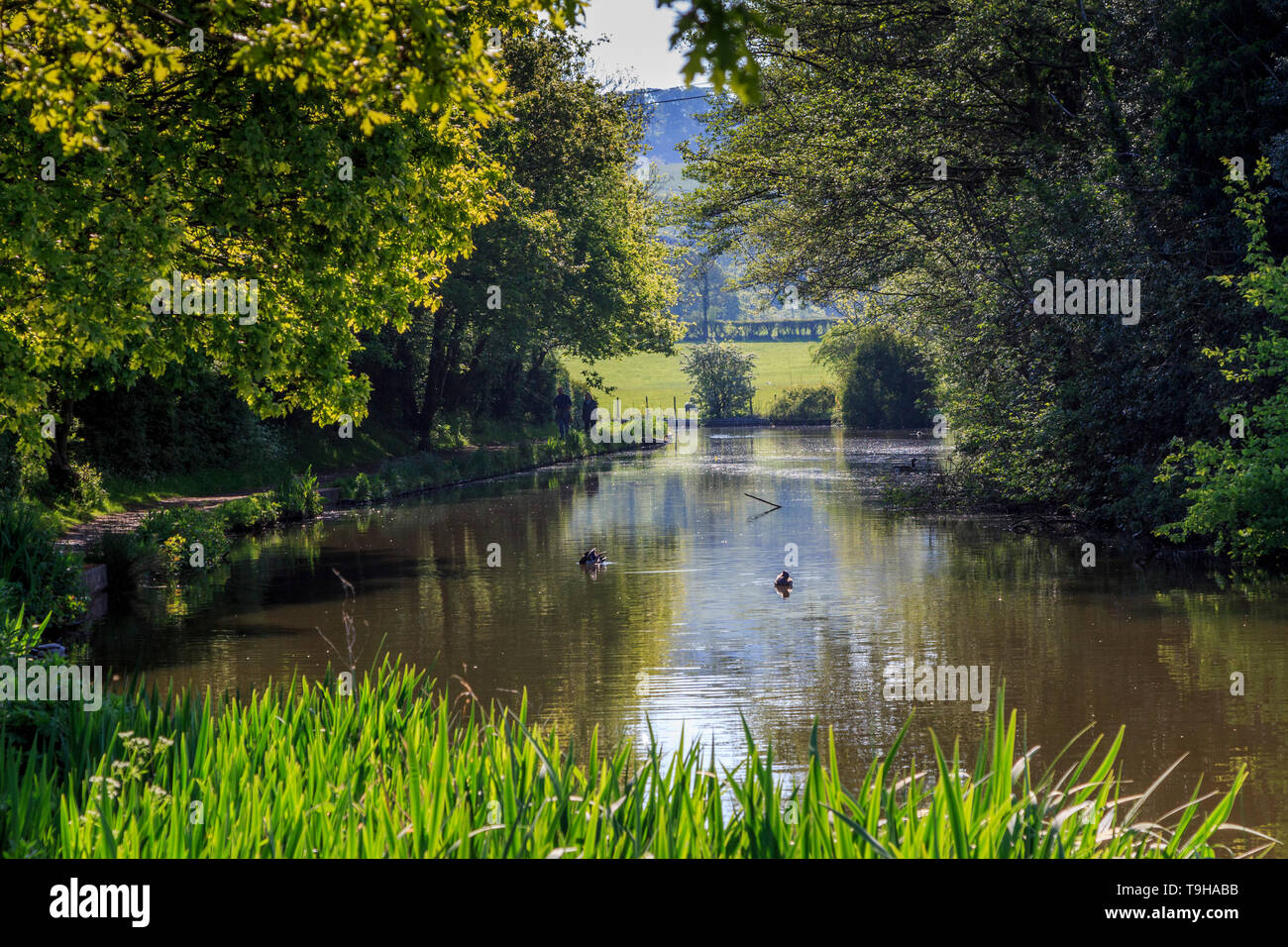 Middlewood way canal hi-res stock photography and images - Alamy