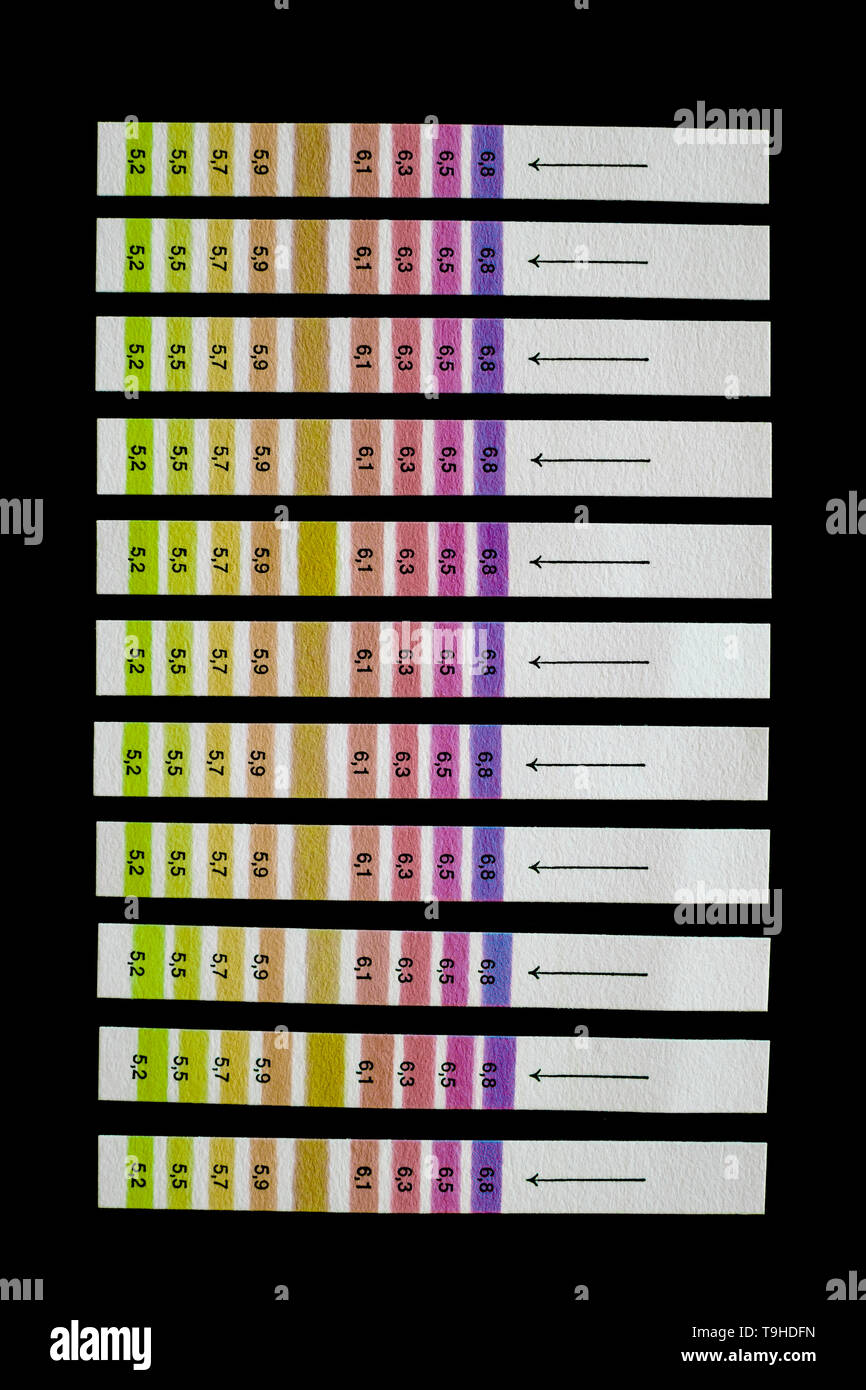 test strips for analysis on black background Stock Photo - Alamy