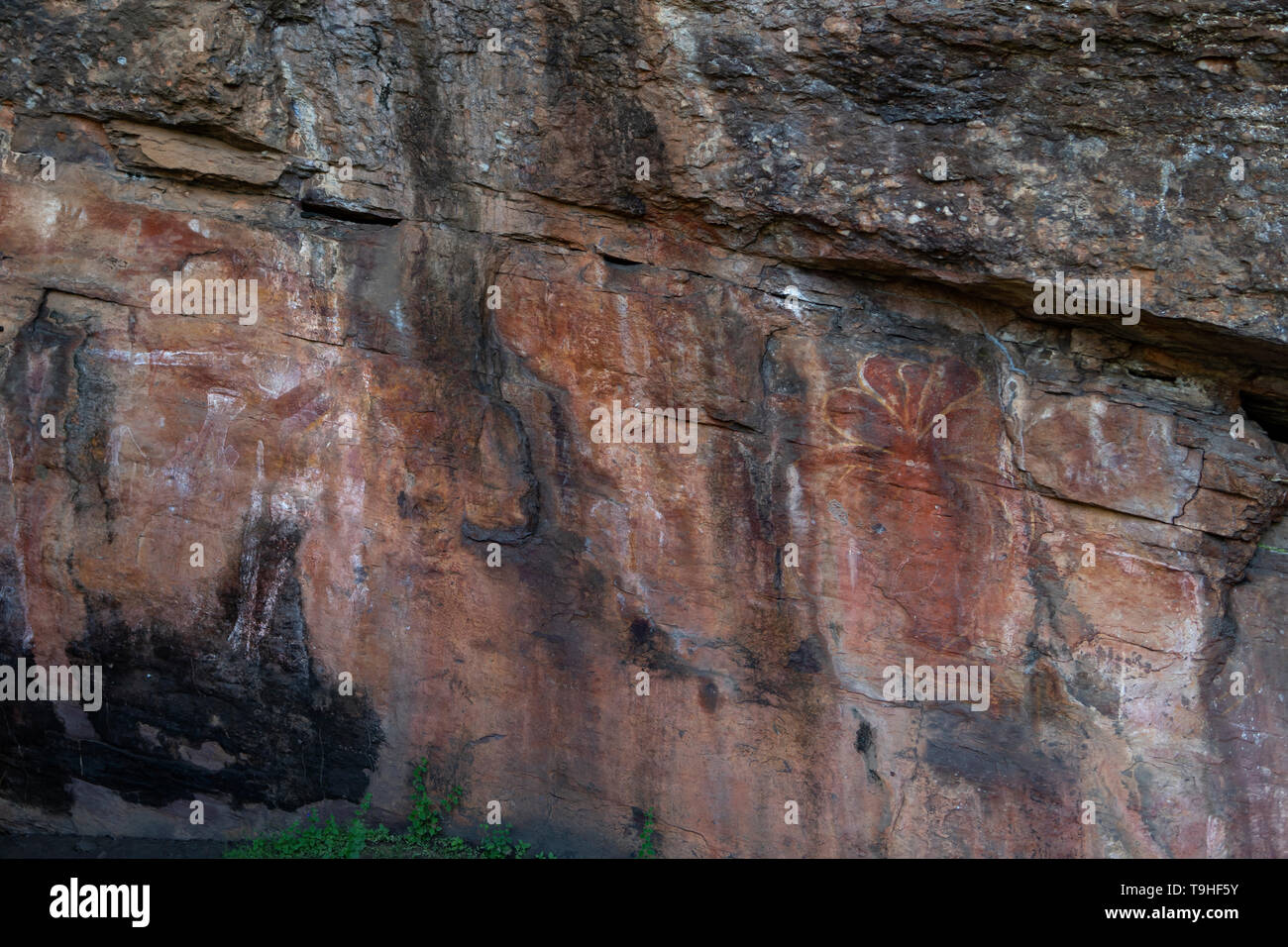 Kakadu national park aboriginal art hi-res stock photography and images - Alamy