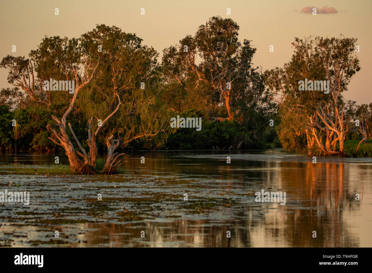 Kakadu national park yellow river hi-res stock photography and images ...