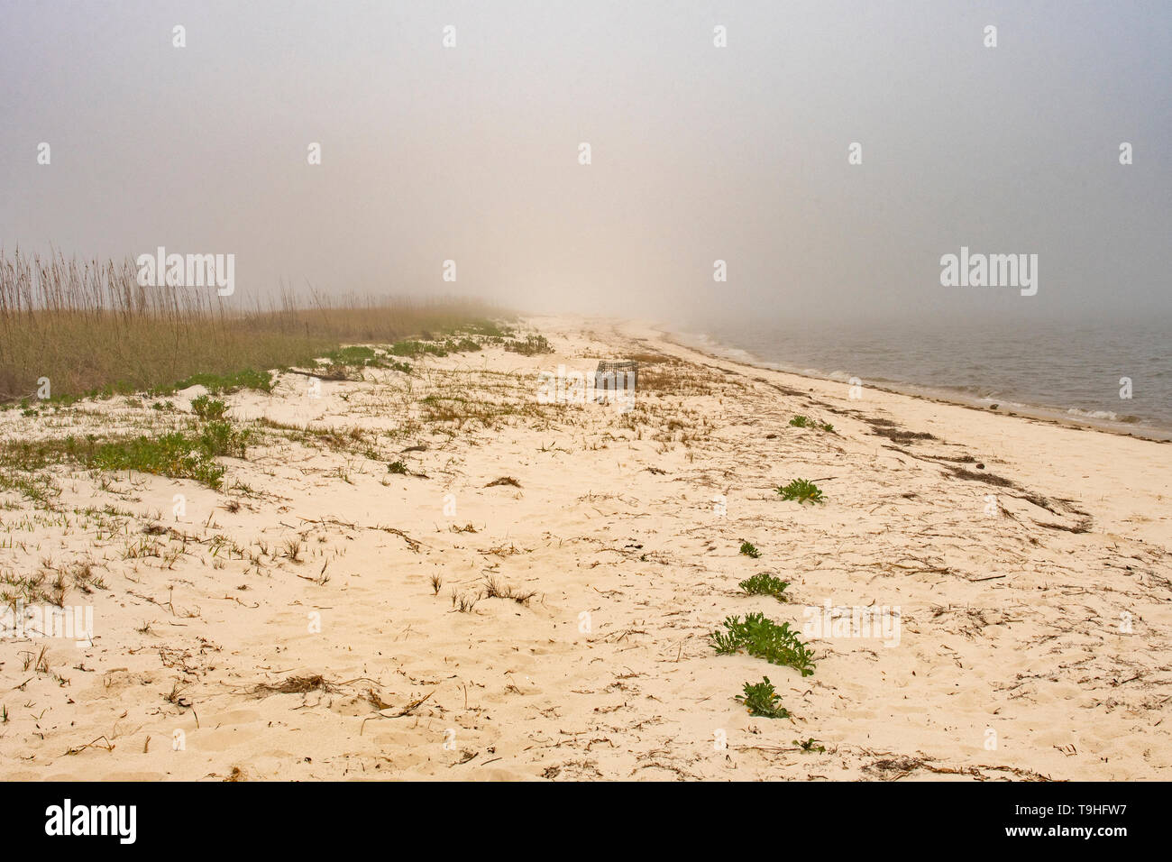 Foggy Day on a Quiet Beach in Bald Point State Park in Florida Stock ...
