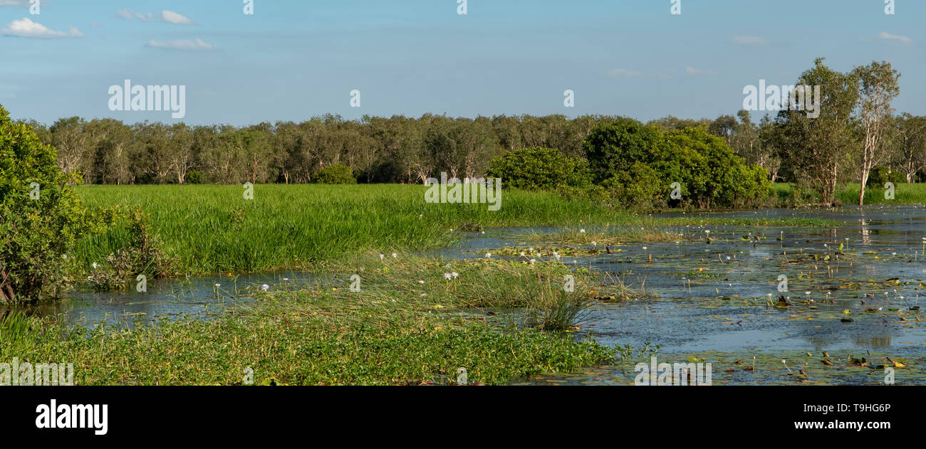 Kakadu national park yellow river hi-res stock photography and images ...