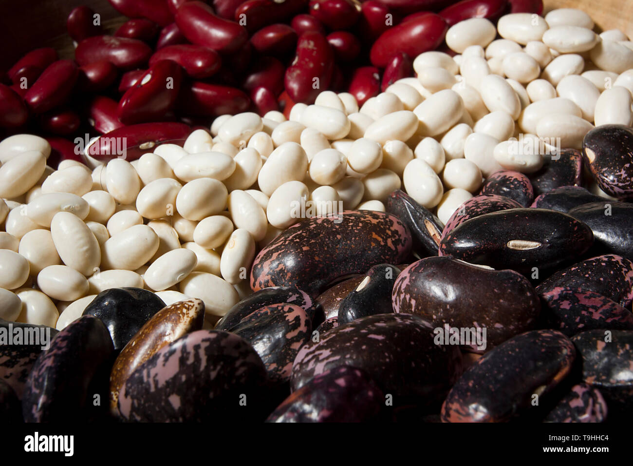 Mix of different in size and color of beans Stock Photo - Alamy