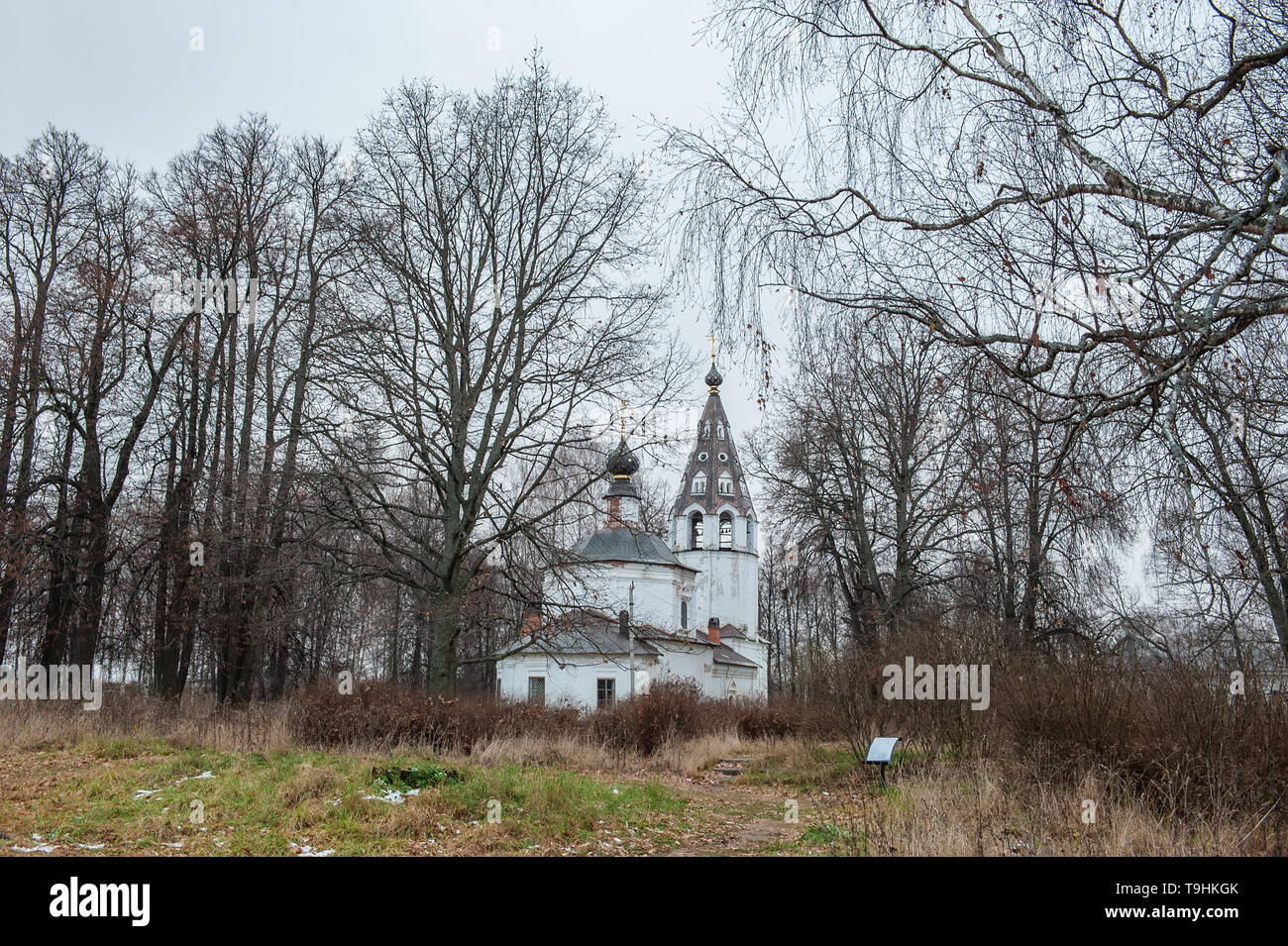 The assumption Cathedral of the city of ples of ancient Russian city on ...