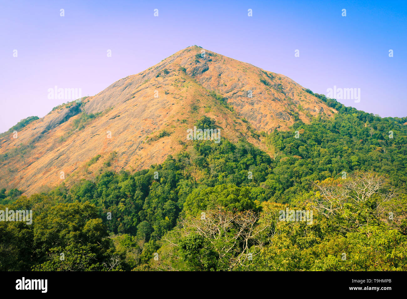 Nelliyampathy hill hi-res stock photography and images - Alamy