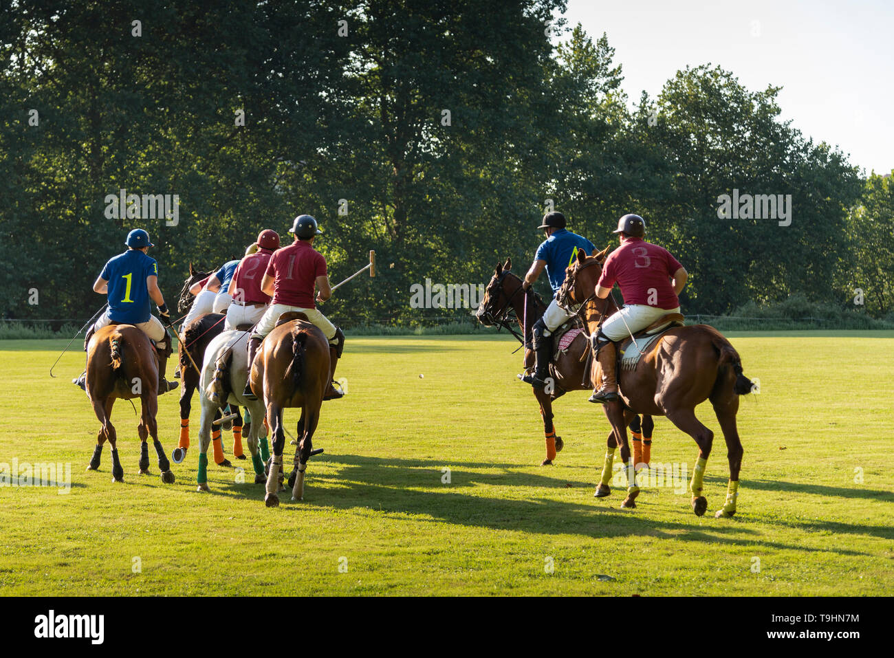 Polo sticks hi-res stock photography and images - Alamy
