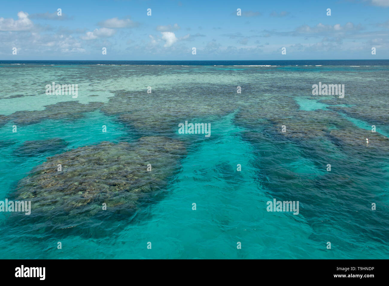 Nathan Reef, Great Barrier Reef, Queensland Stock Photo - Alamy