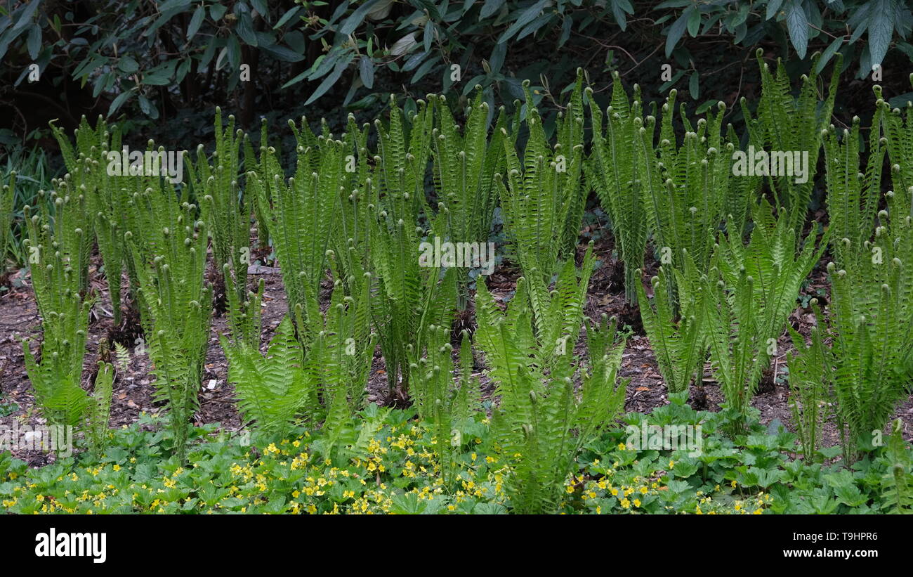 Unfolding High Resolution Stock Photography and Images - Alamy