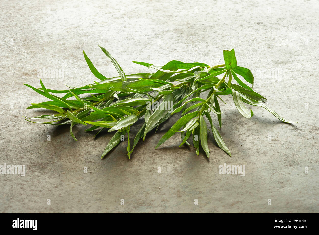 Lit bundle hi-res stock photography and images - Alamy