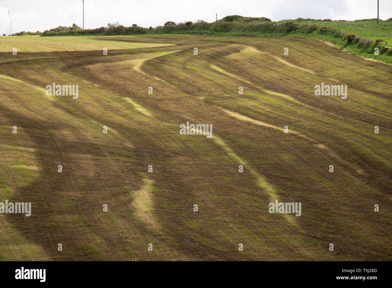 Slurry hi-res stock photography and images - Alamy
