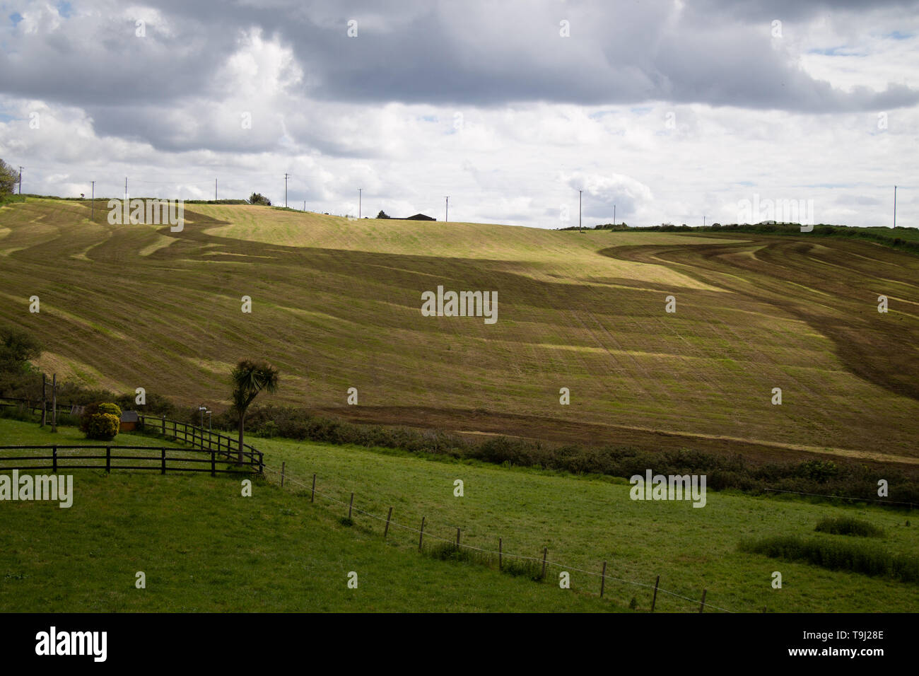 Slurry Spreading High Resolution Stock Photography and Images - Alamy