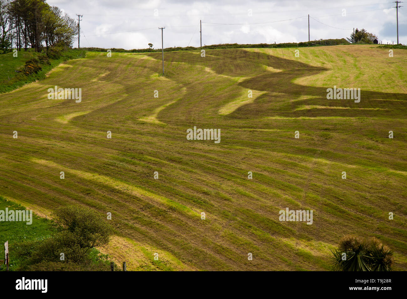 Alamy contributor hi-res stock photography and images - Alamy