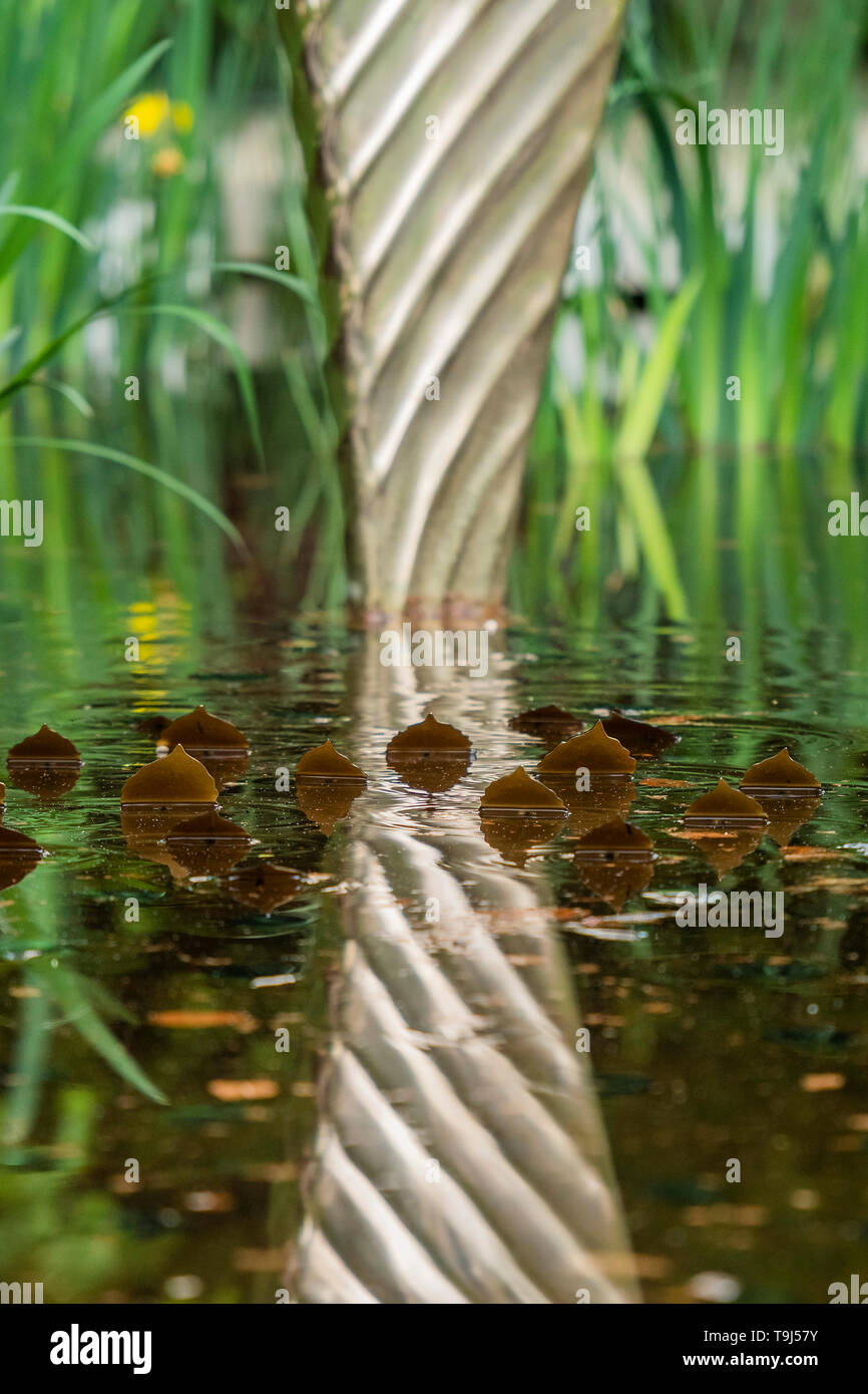 London, UK. 19th May 2019. The Savills and David Harber Garden Designed ...