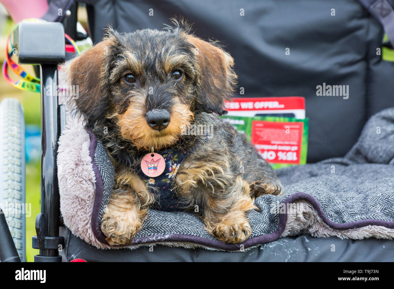 Chris packham 2019 hi-res stock photography and images - Alamy