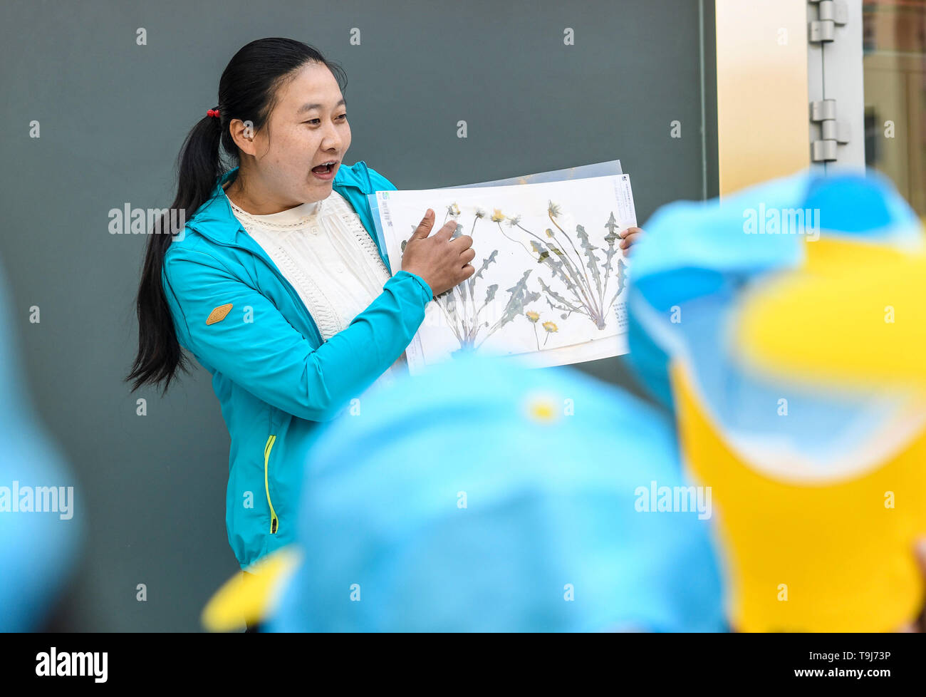 Qiumei hi-res stock photography and images - Alamy