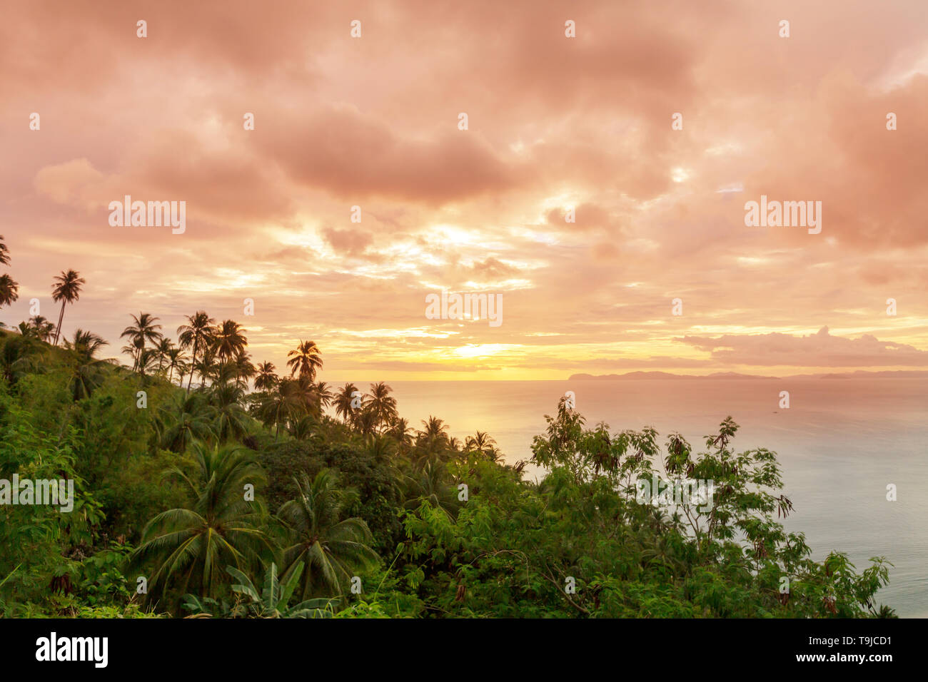 Tropical landscapes-rainforest and beautiful ocean at sunset. Holiday ...