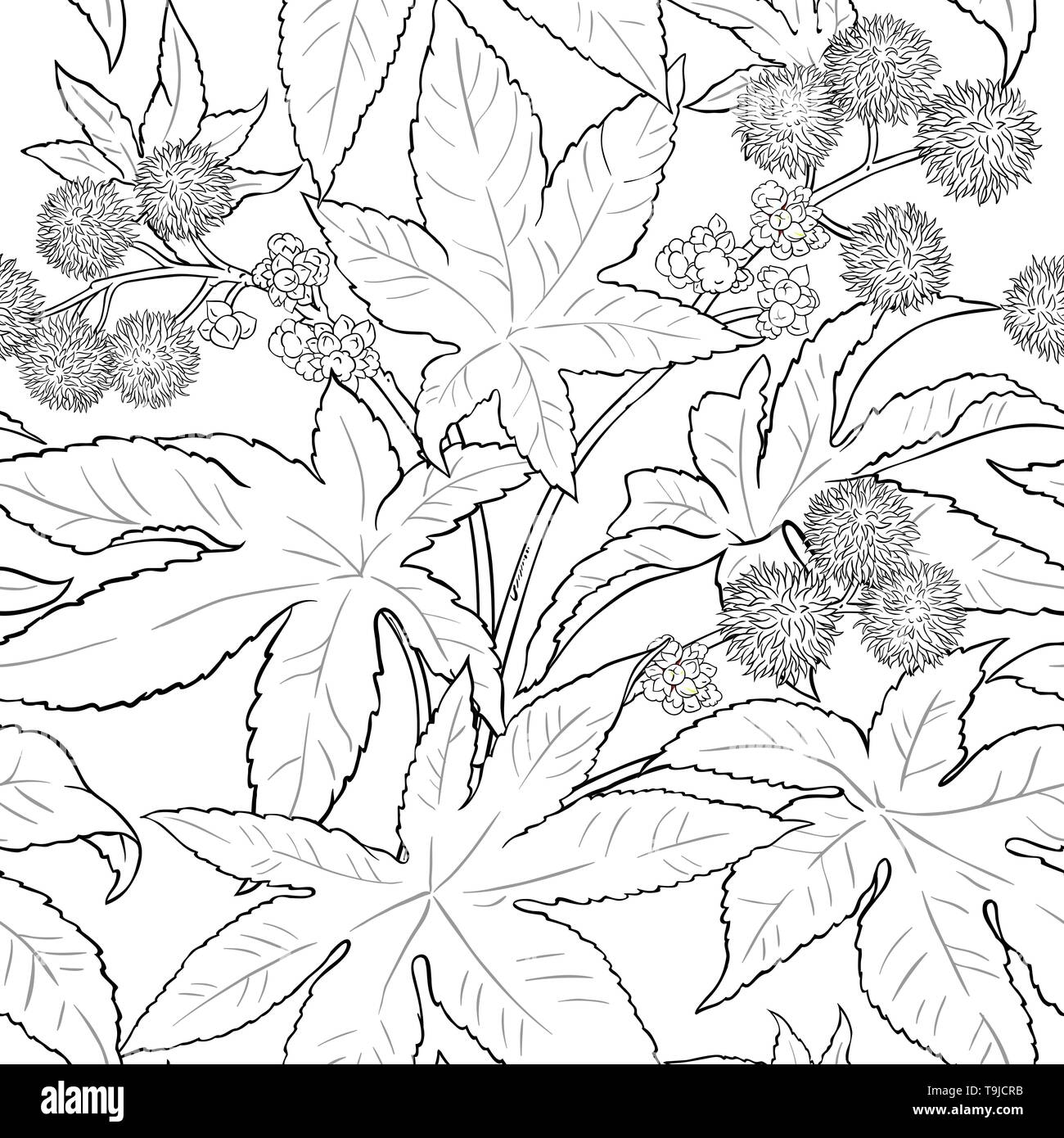 Castor tree or ricinus ricinus communis Stock Vector Images - Alamy