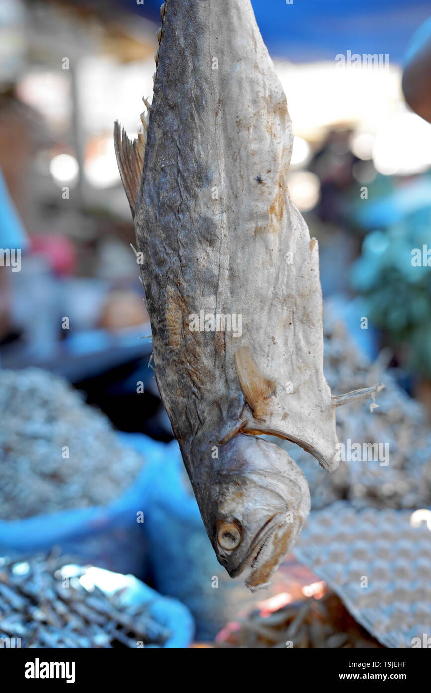 Dried salty fish for sale at Traditional Fish Market, Indonesia Stock ...