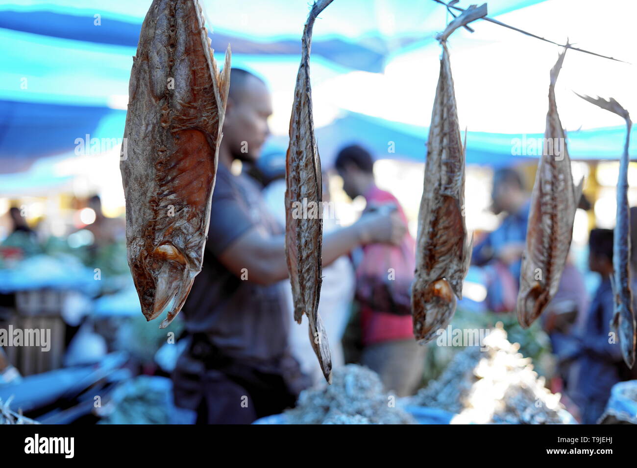 Dried salt preserved salted fish seafood at Traditional fish market ...