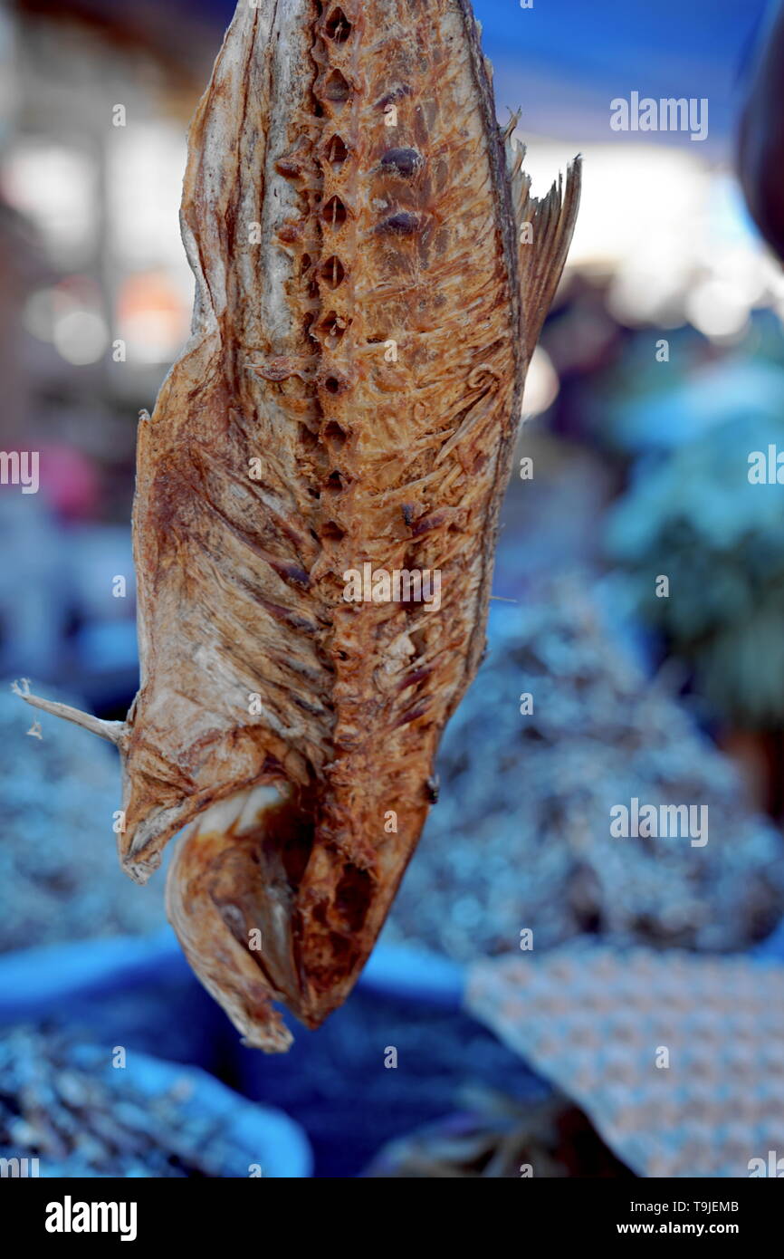Dried salty fish for sale at Traditional Fish Market, Indonesia Stock ...