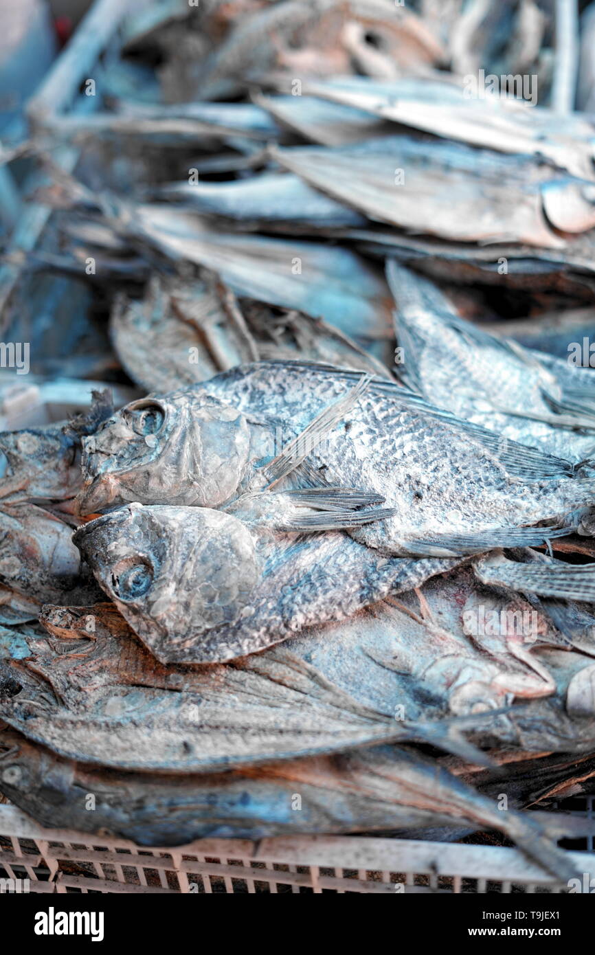 Pile of Dried salty fish for sale at Traditional fish market Stock ...
