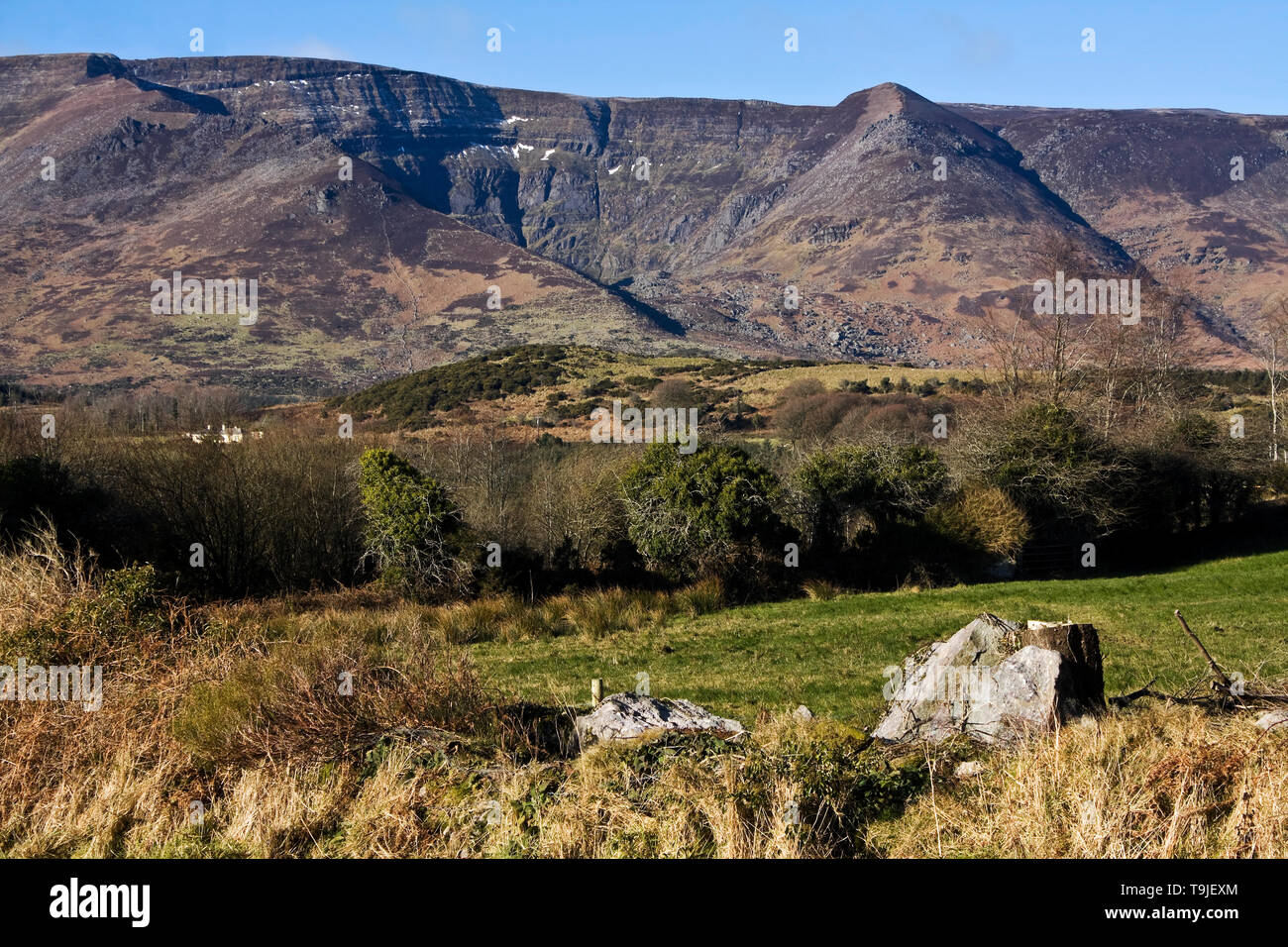 Cliffs of Coumshingaun seen from Croughaun Hill,Comeragh Mts.Co ...
