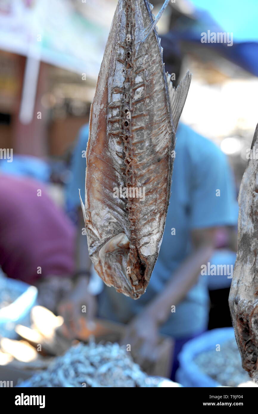 Dried salty fish for sale at Traditional Fish Market, Indonesia Stock ...
