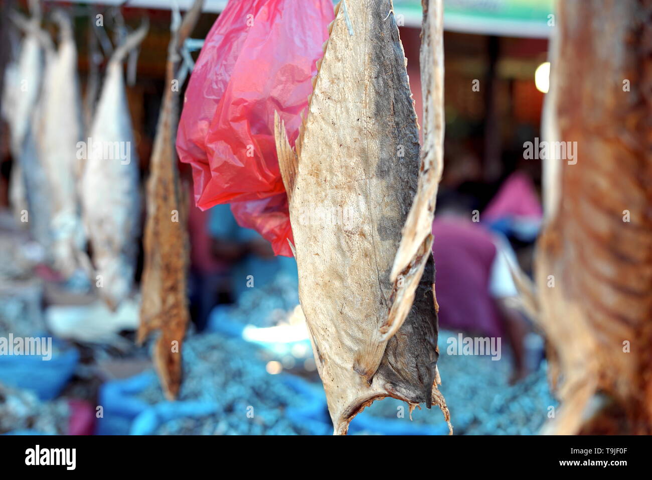 Dried salt preserved salted fish seafood at Traditional fish market ...