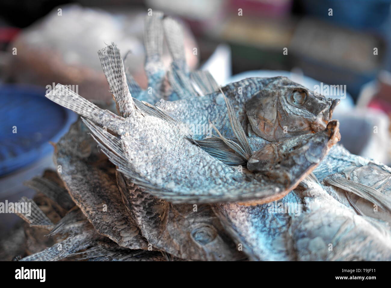 Pile of Dried salty fish for sale at Traditional fish market Stock ...