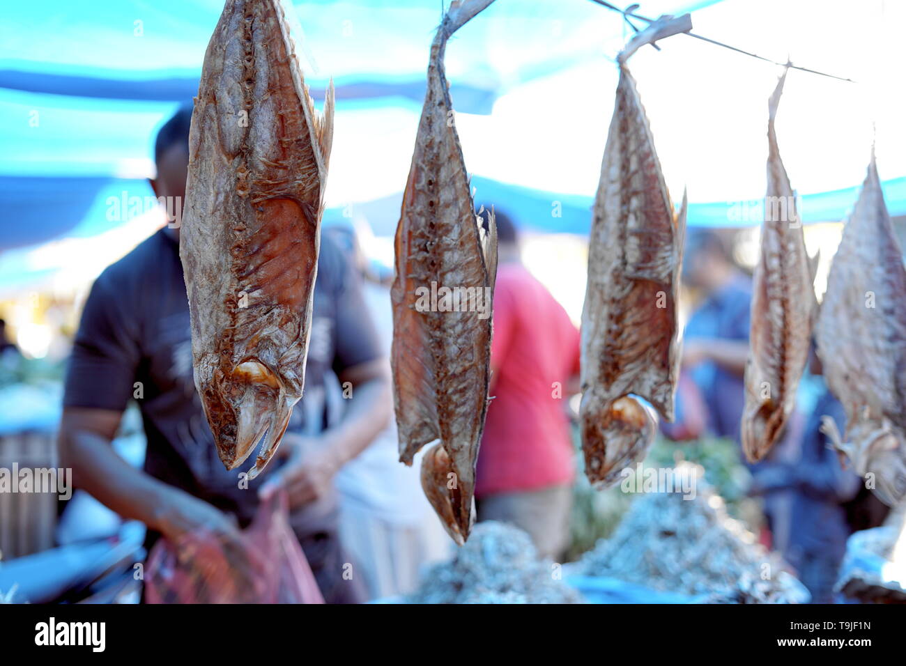 Dried salt preserved salted fish seafood at Traditional fish market ...