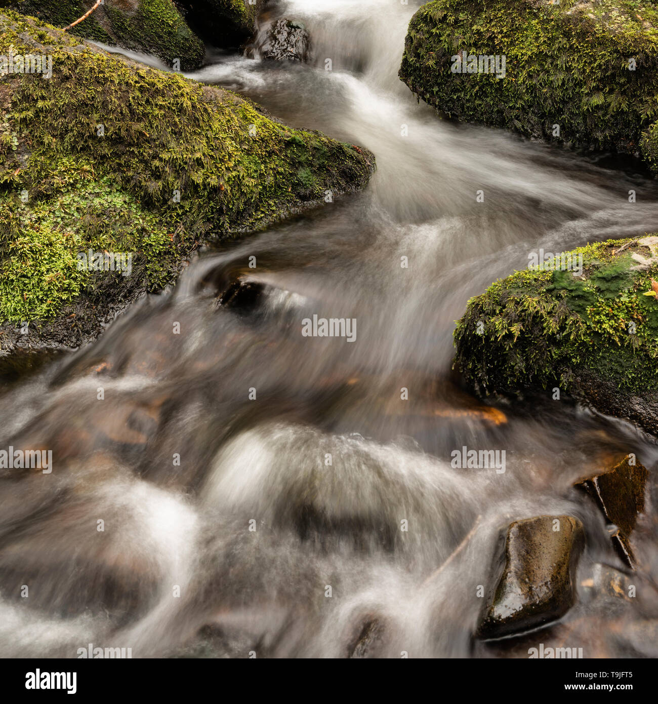 Beautiful Spring landscape image of River Teign flowing through lush ...