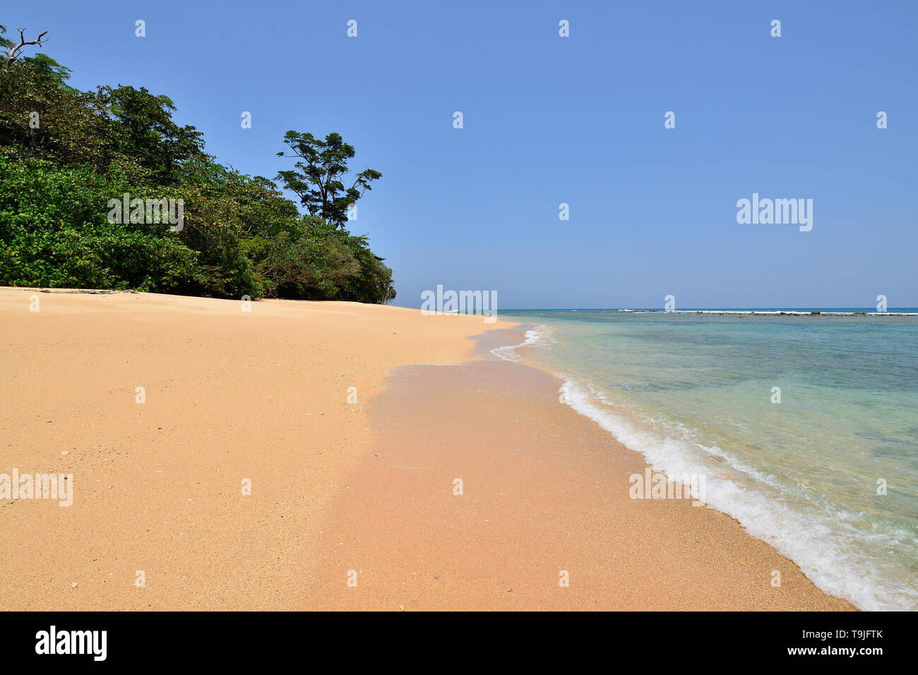 Most beautiful, exotic Sitapur beach on Andaman at Neil Island of the ...