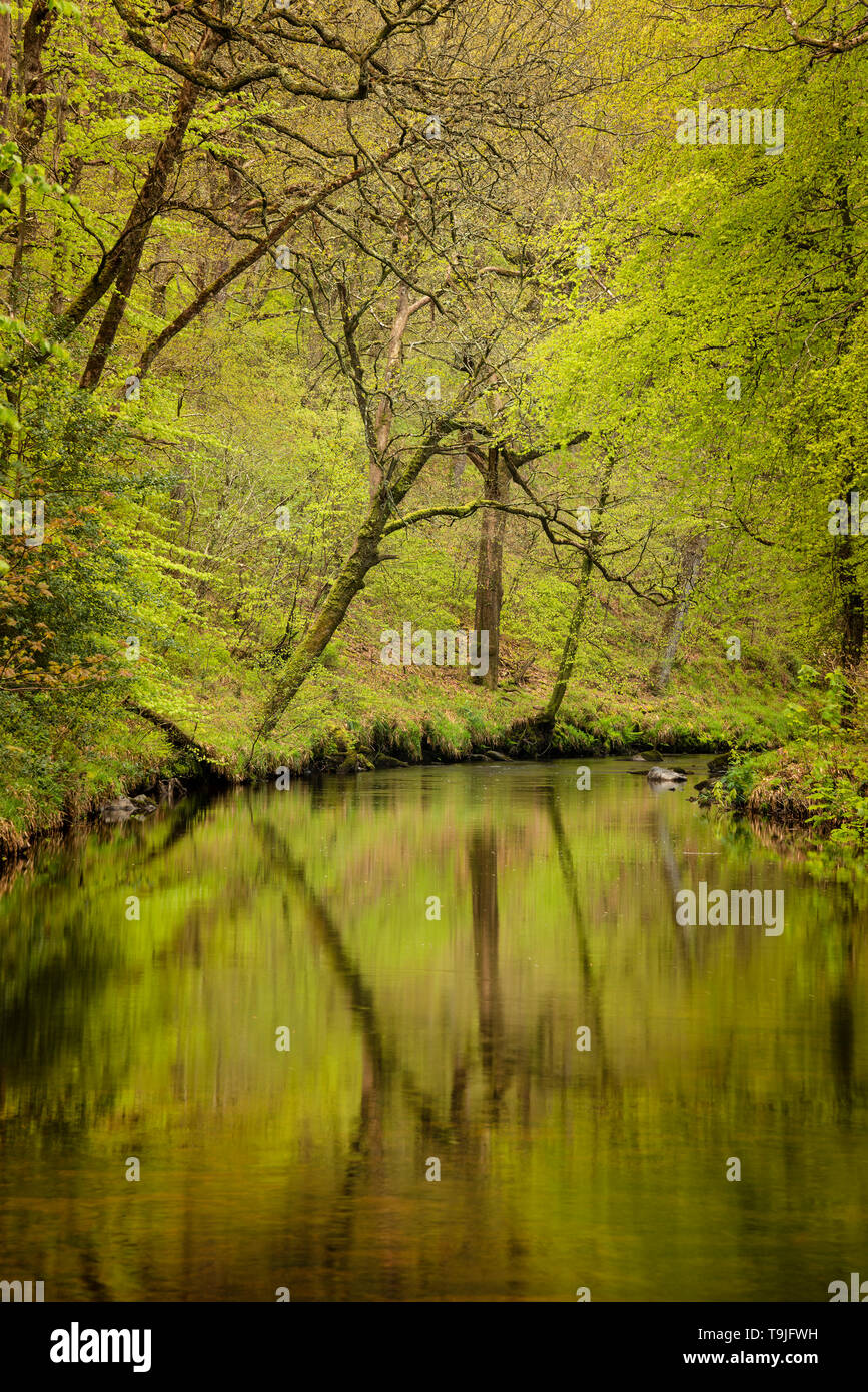 Beautiful Spring landscape image of River Teign flowing through lush ...