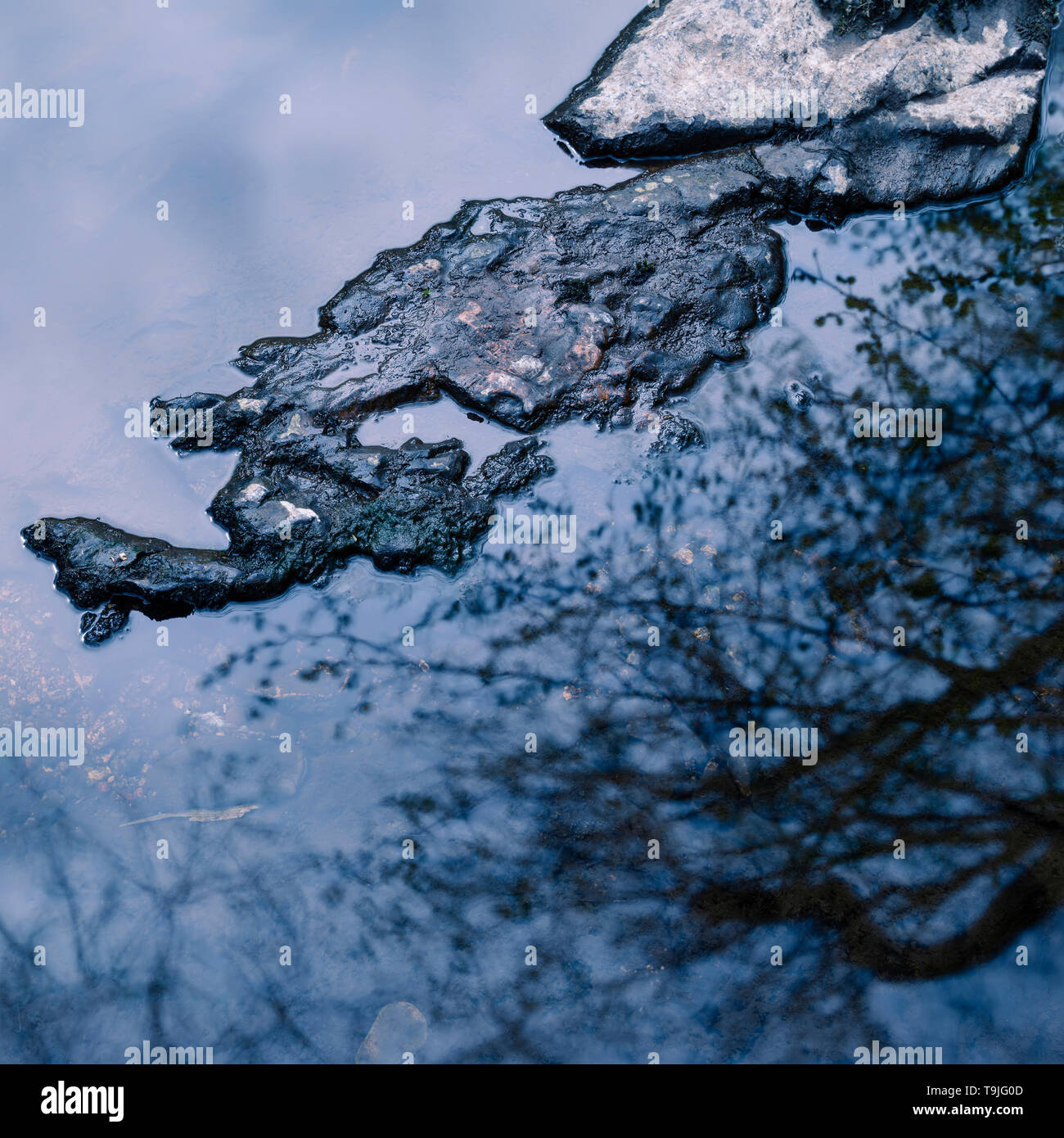 Abstract landscape image of trees reflected in river with rock ...