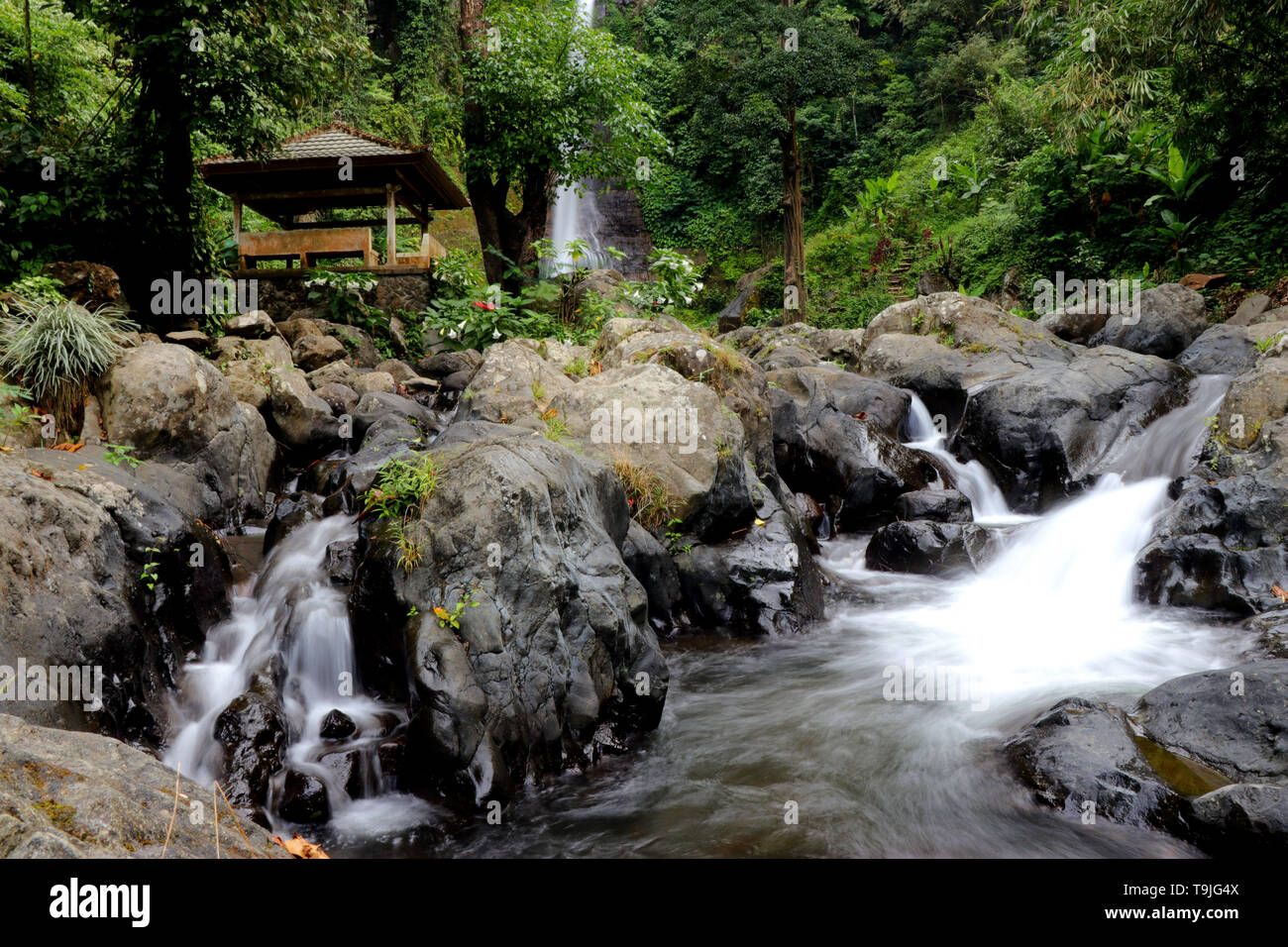 Gitgit Waterfall on Bali Indonesia with wild water stream in jungle ...
