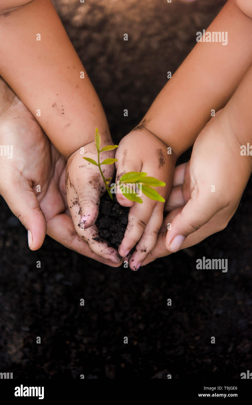 Trees with money, saving money and growing hands Stock Photo - Alamy