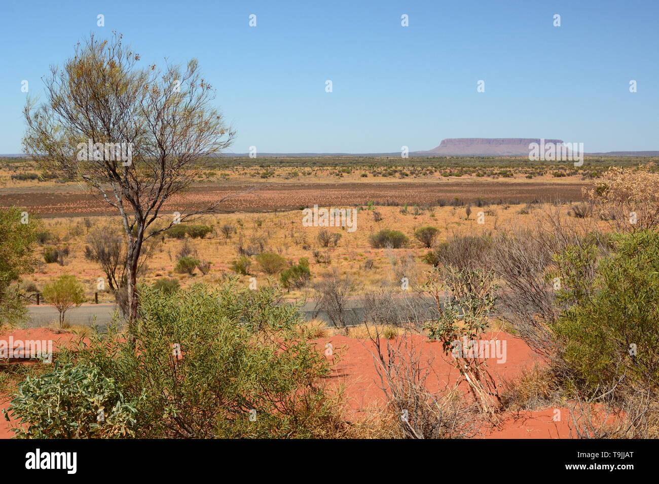 Mount Conner. Northern Territory. Australia Stock Photo - Alamy