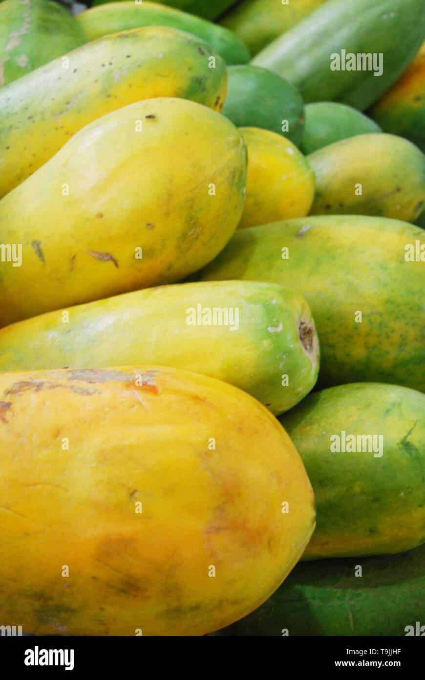green papaya fruit Stock Photo - Alamy