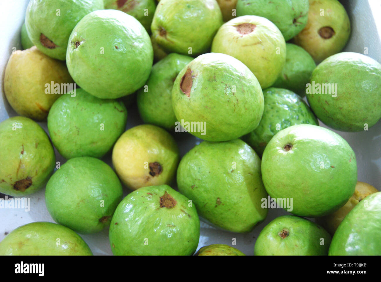 green guava fruit Stock Photo - Alamy