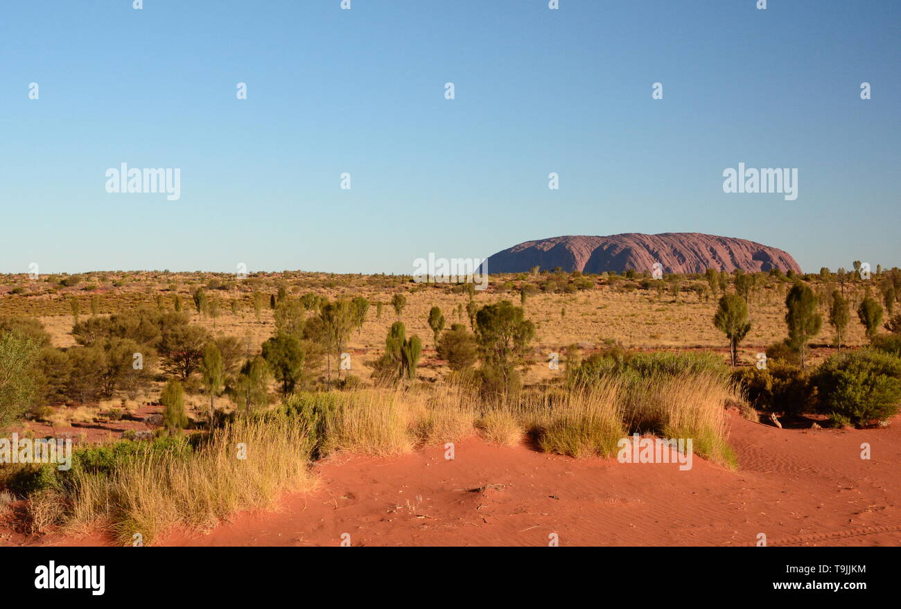 Uluru landscape. Northern Territory. Australia Stock Photo - Alamy