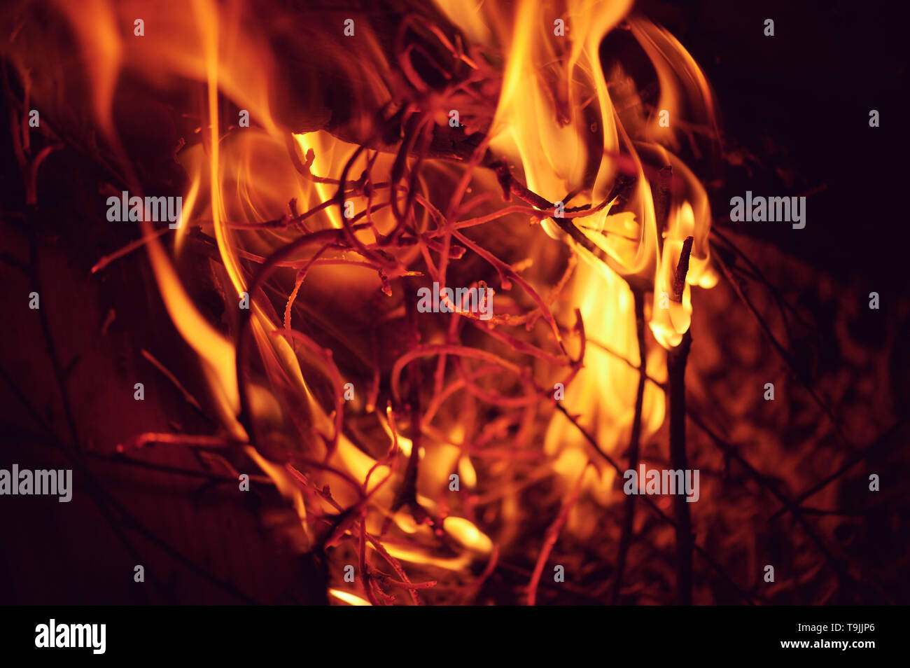 Incandescent embers background texture Charcoal fire - burning fire ...