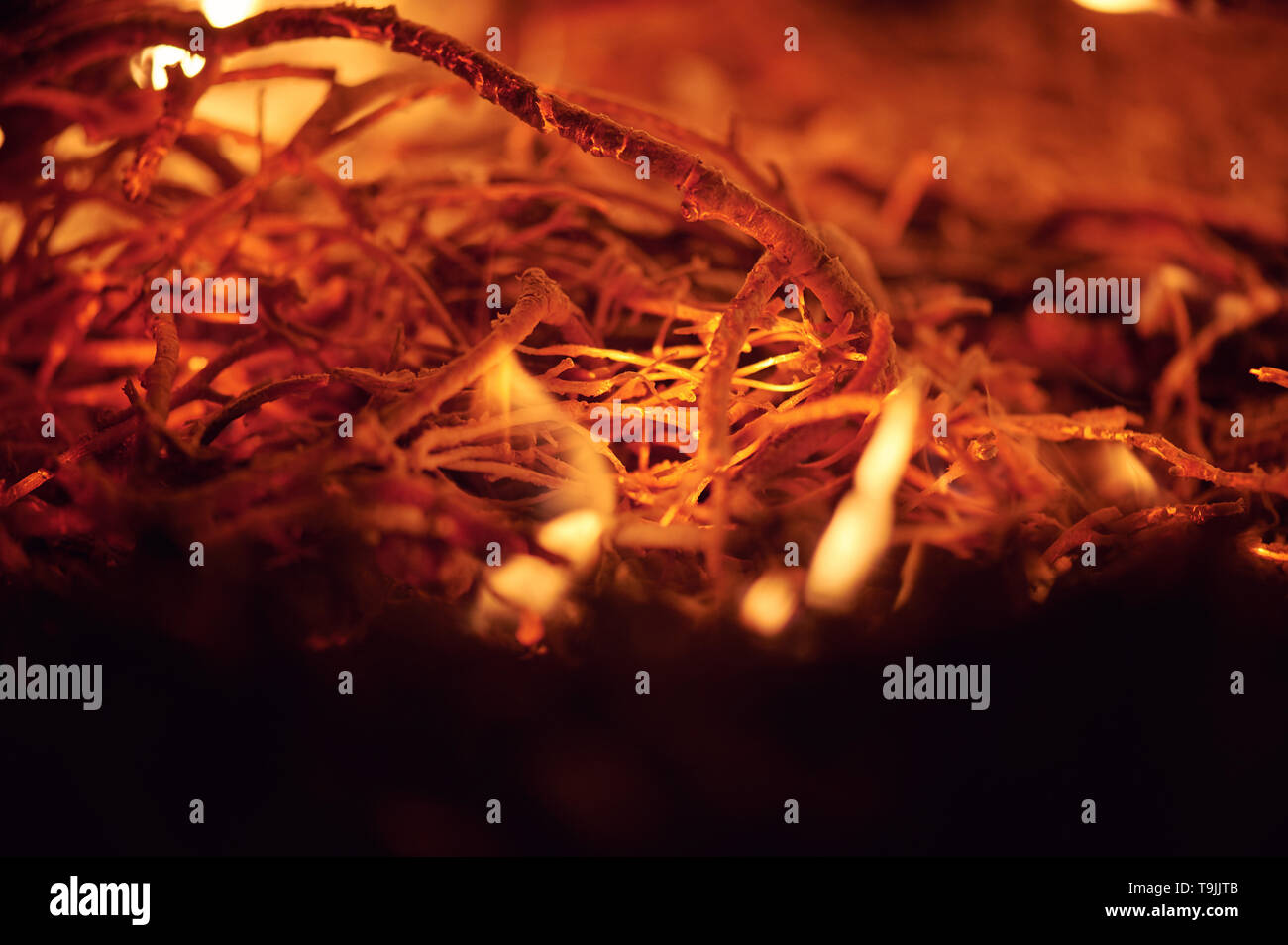 Incandescent embers background texture Charcoal fire - burning fire ...