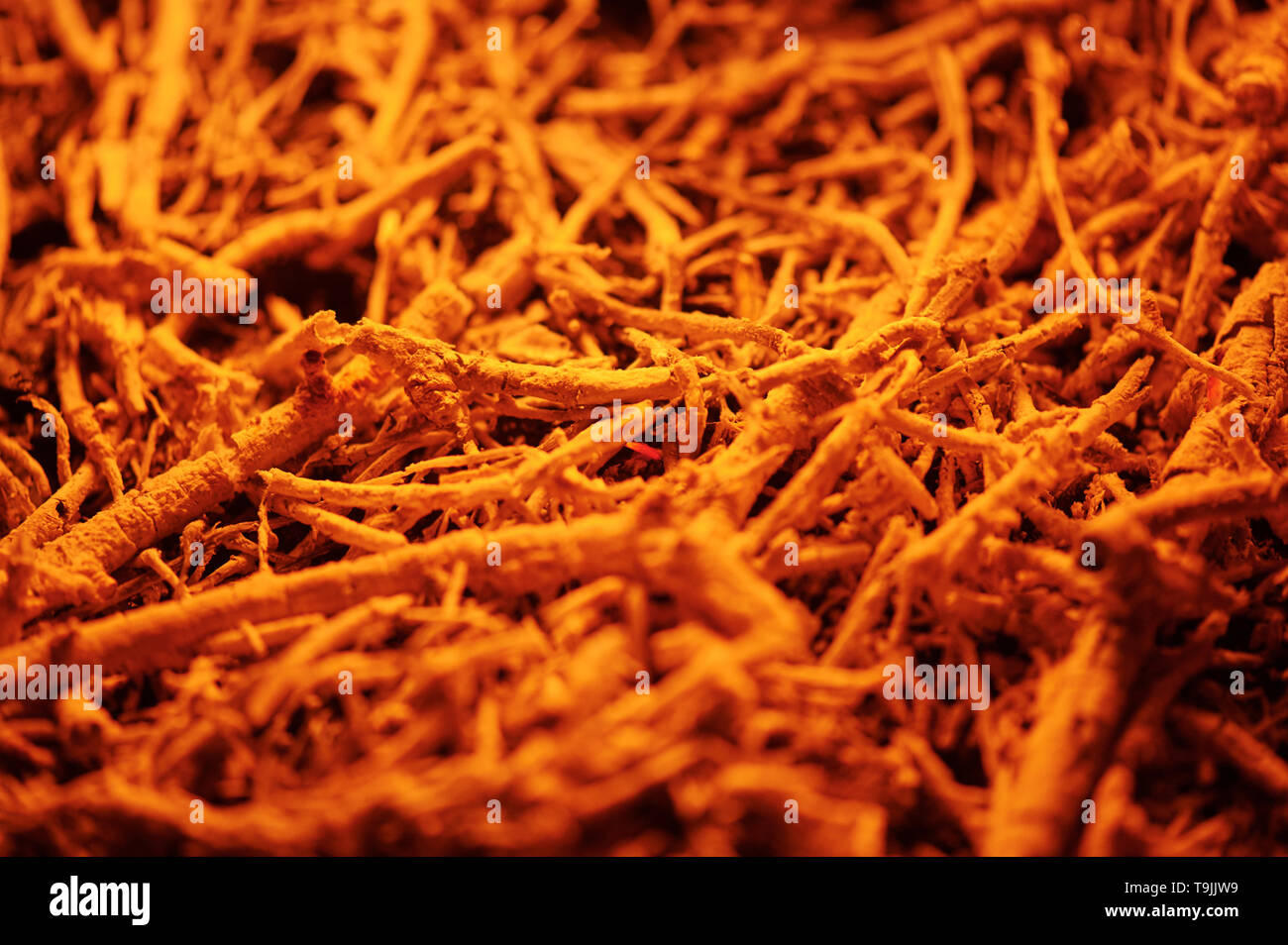 Incandescent embers background texture Charcoal fire - burning fire ...