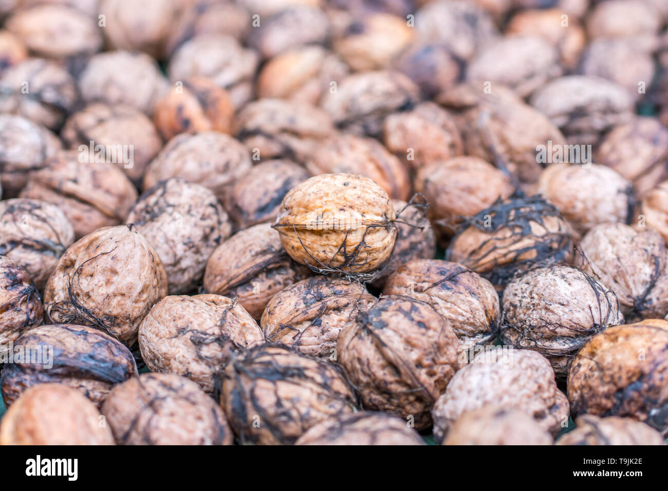 Real walnut hi-res stock photography and images - Alamy