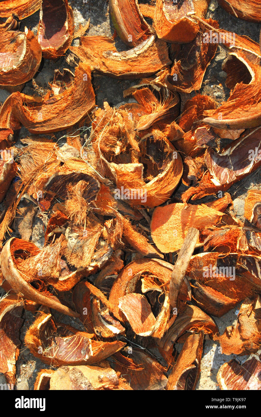 coconut fiber pieces background Stock Photo - Alamy